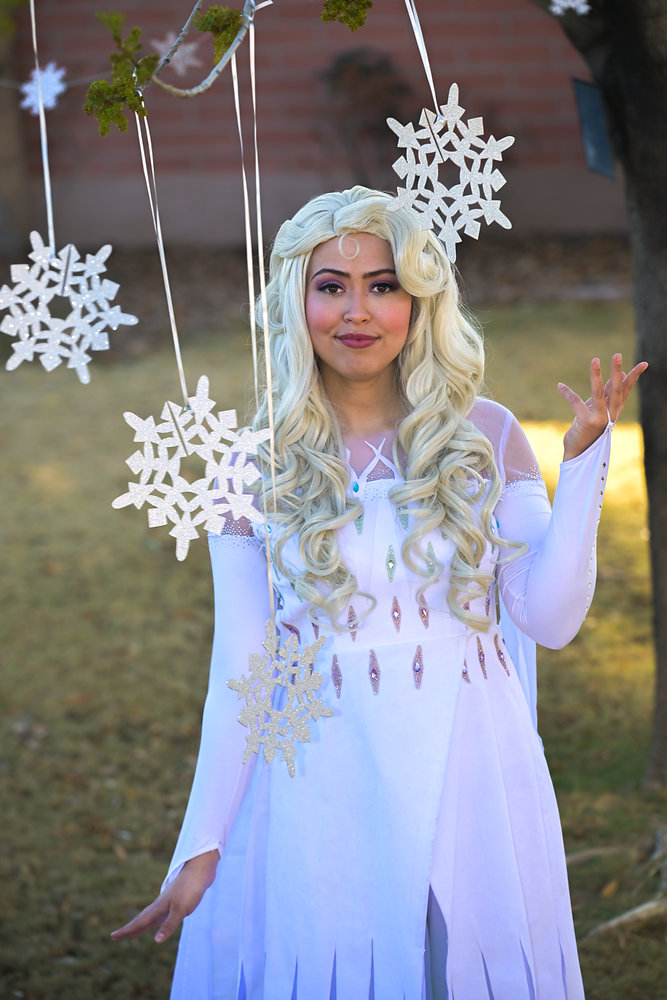 Make Your Child's Frozen Birthday Party Magical with Arizona's Pixie ...