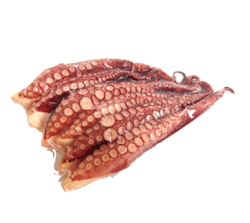 Boiled Frozen Octopus Leg | Hanseafoods