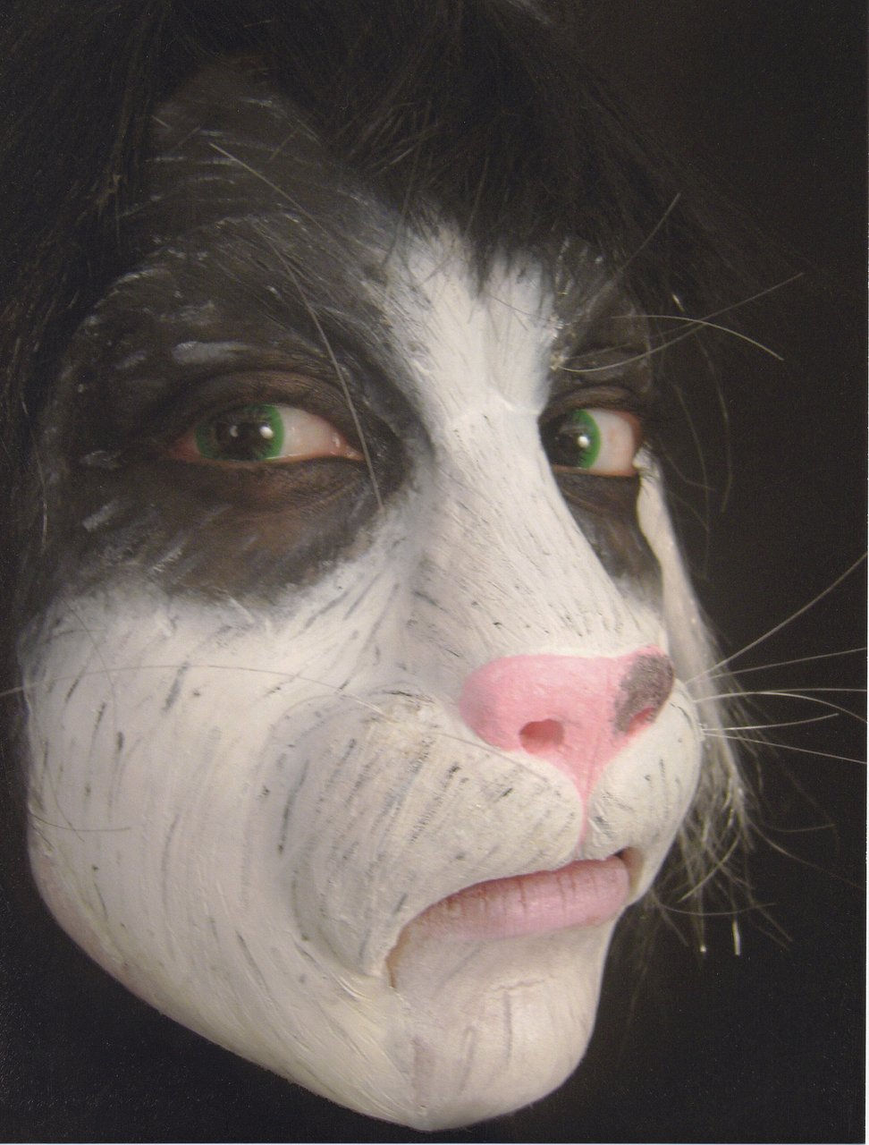 Cat Prosthetics Makeup - Mugeek Vidalondon