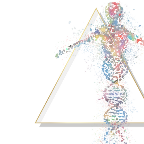 Life Aligned Program | BioCODE Scans