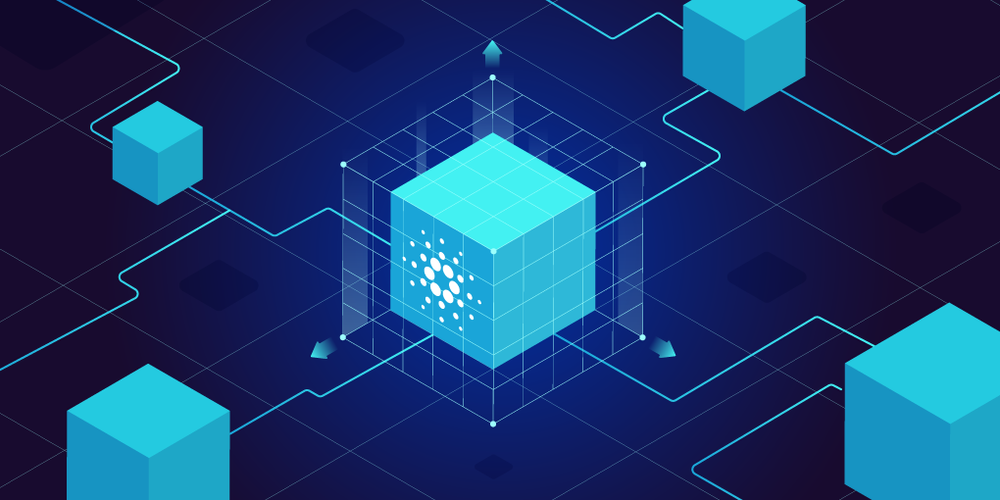 Cardano: network, consensus mechanism and block minting explained