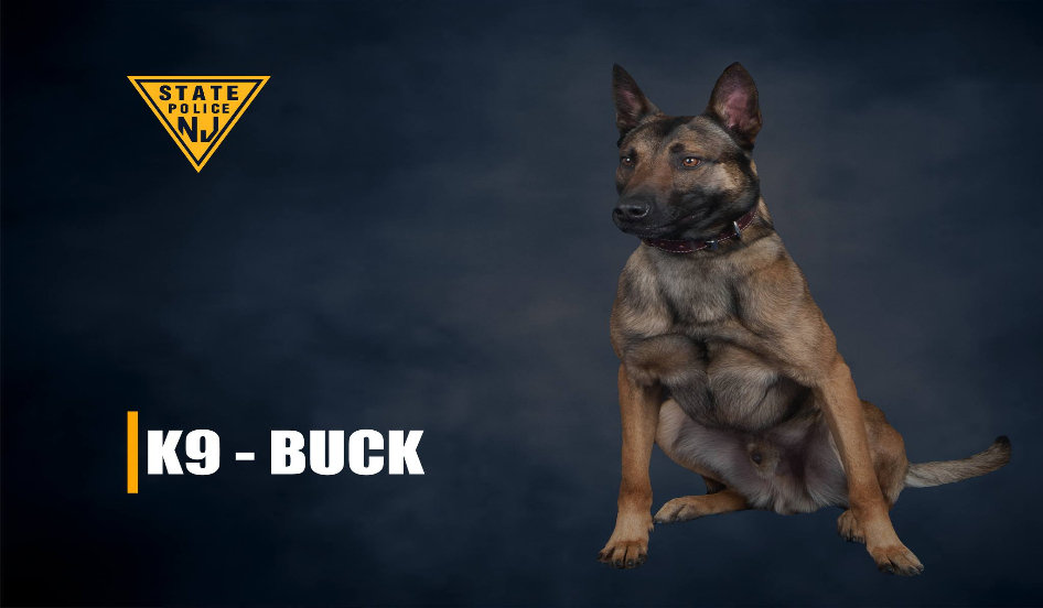 New Jersey State Police announce passing of K9 Buck