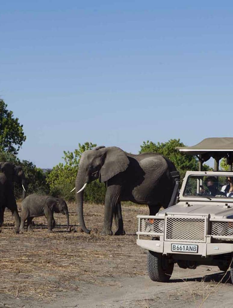 Chobe Game Lodge - Chobe River, Botswana