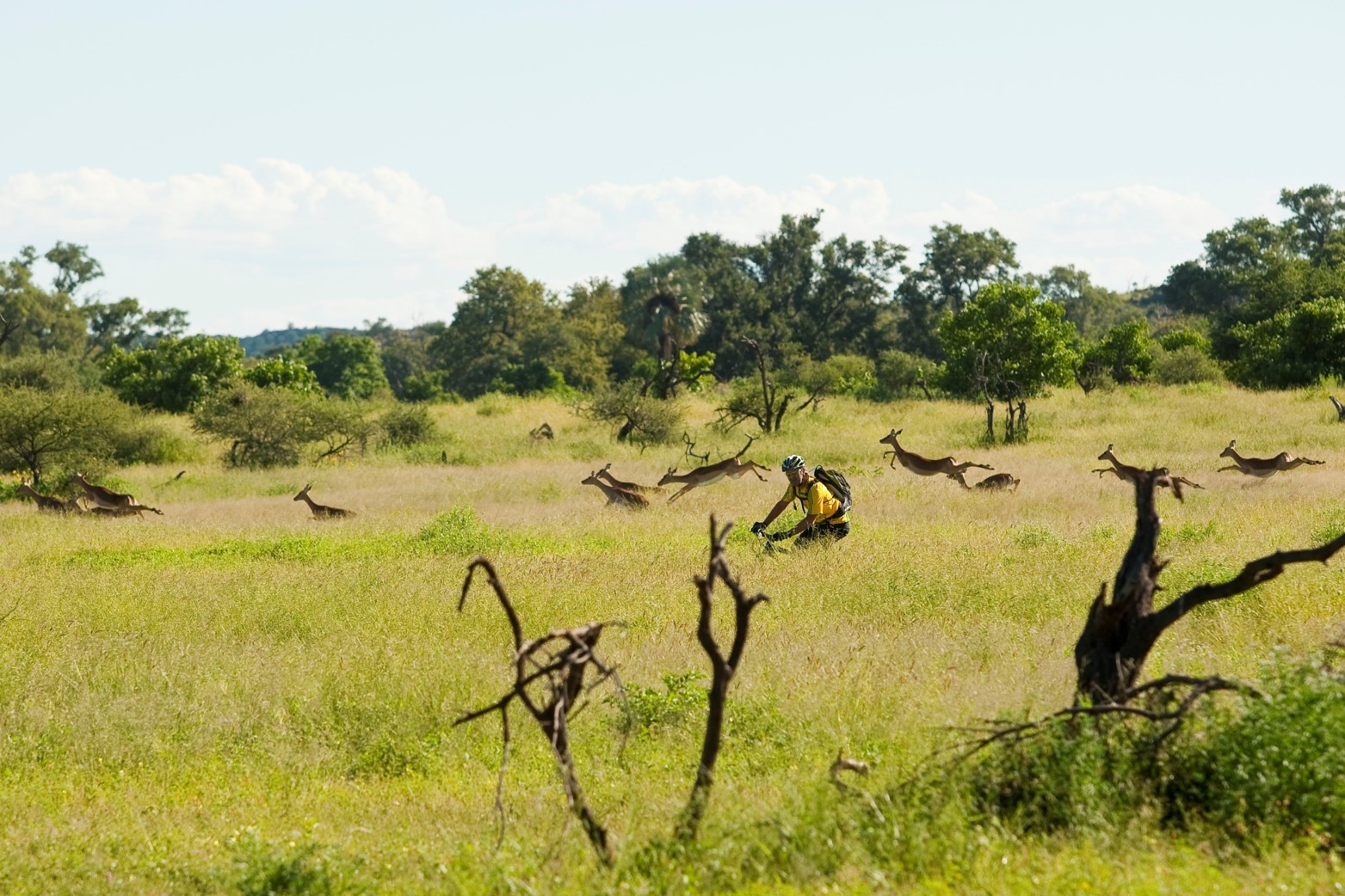 Mashatu Main Camp - Mashatu Game Reserve, Botswana