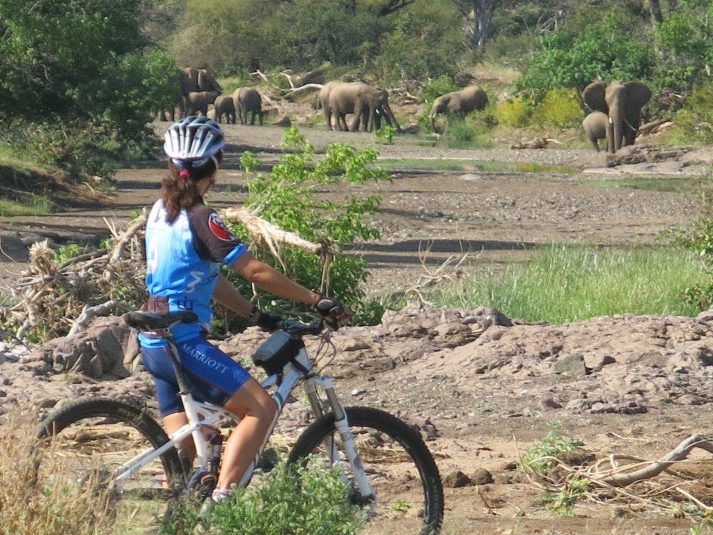 Mashatu Main Camp - Mashatu Game Reserve, Botswana