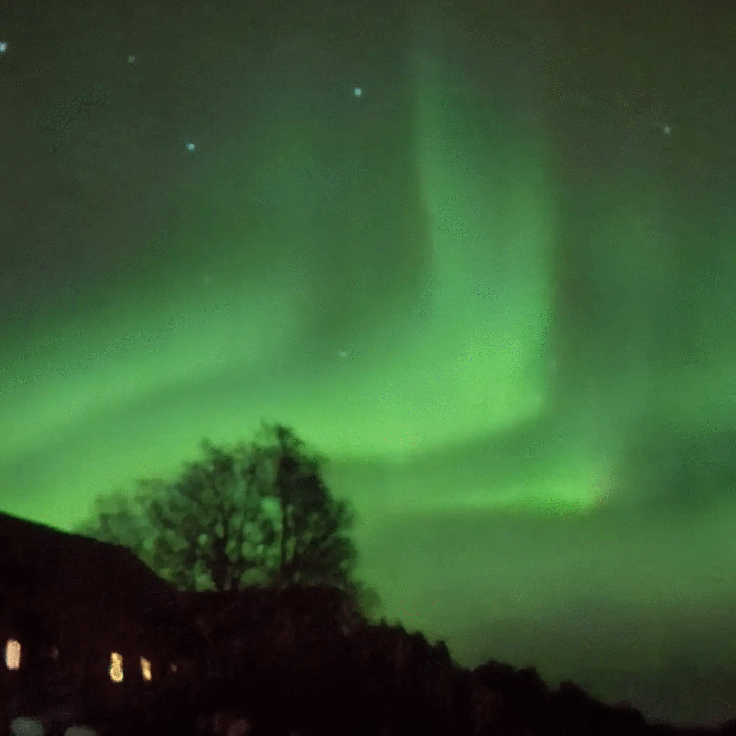 Arctic Dome | Oddan Alpakka