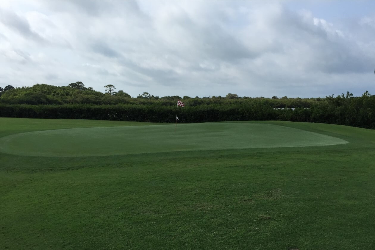 Lake Venice Golf Club | Golf Club | Venice Florida