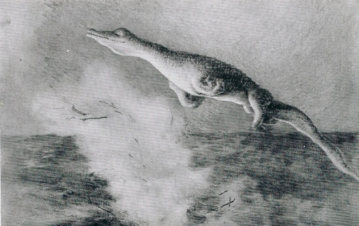 Documenting the strange and unknown | Fate Magazine