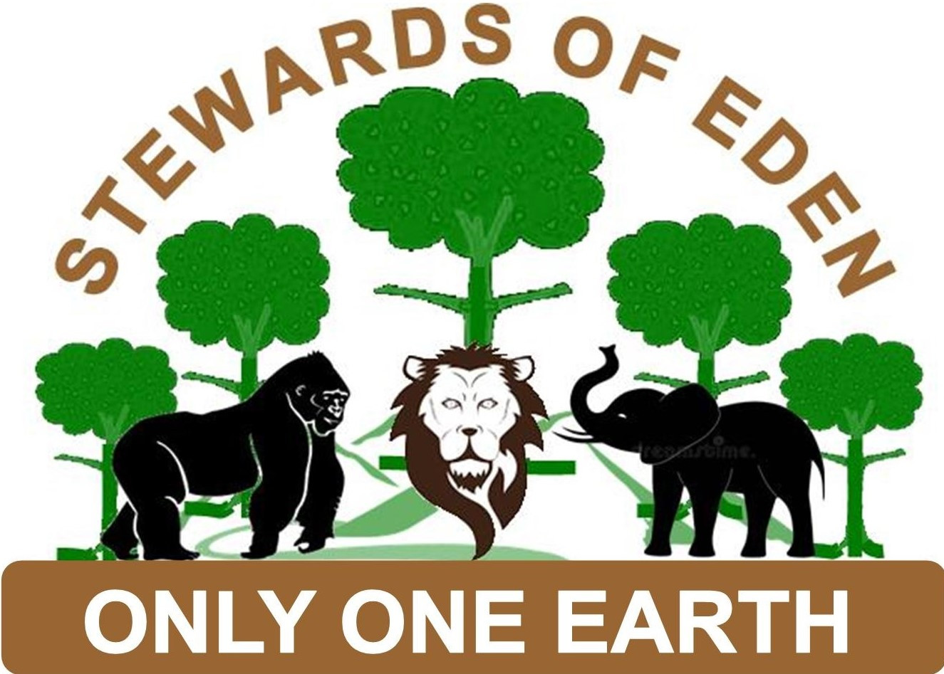 Stewards Of Eden | Stewards of Eden is a climate and environment NGO in Rw