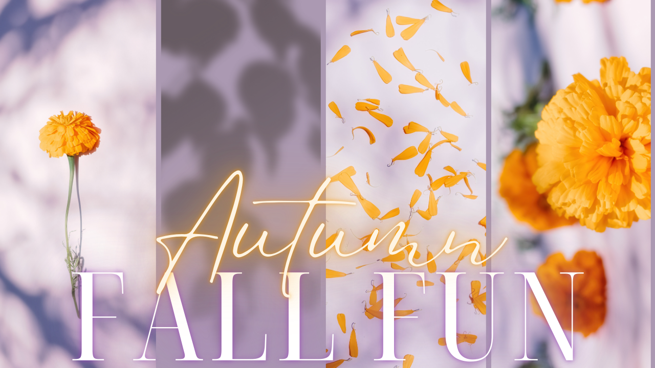 10 Fun Fall Activities for Families to Enjoy Together