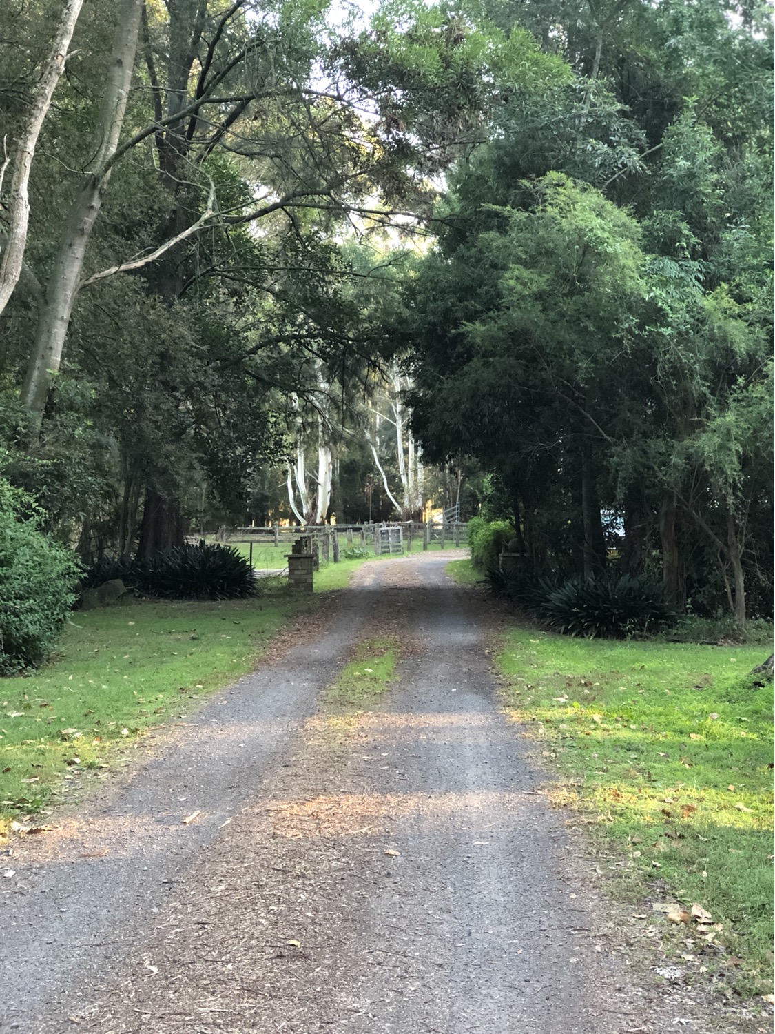 Secrets of Terara Images | Terara | Secrets of Terara