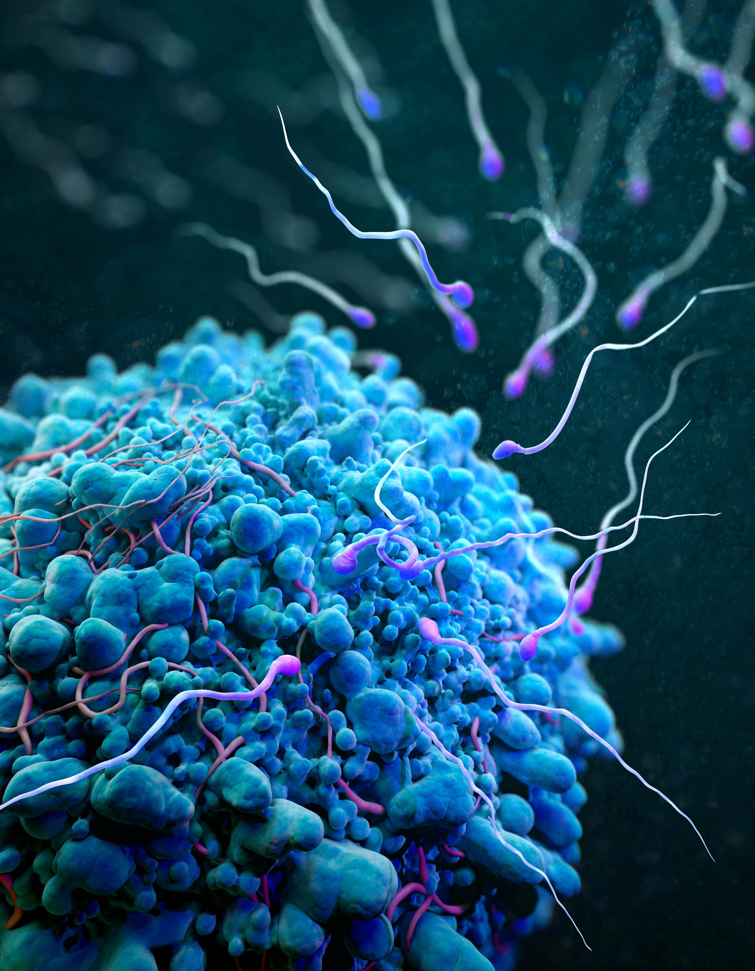 ABOUT | Scienceinmotion