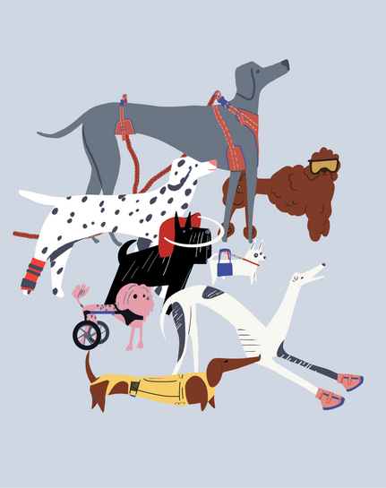 portfolio | Olga Alexandrova Illustration