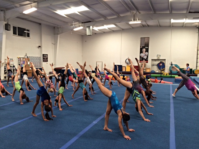 Girls Team | goldcupgymnastics