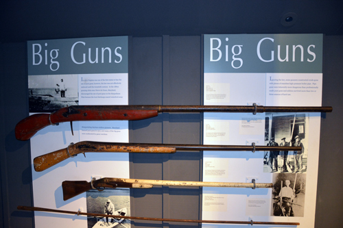 Duck Cannons of the Chesapeake – When Punt Guns Spoke, Waterfowl ...