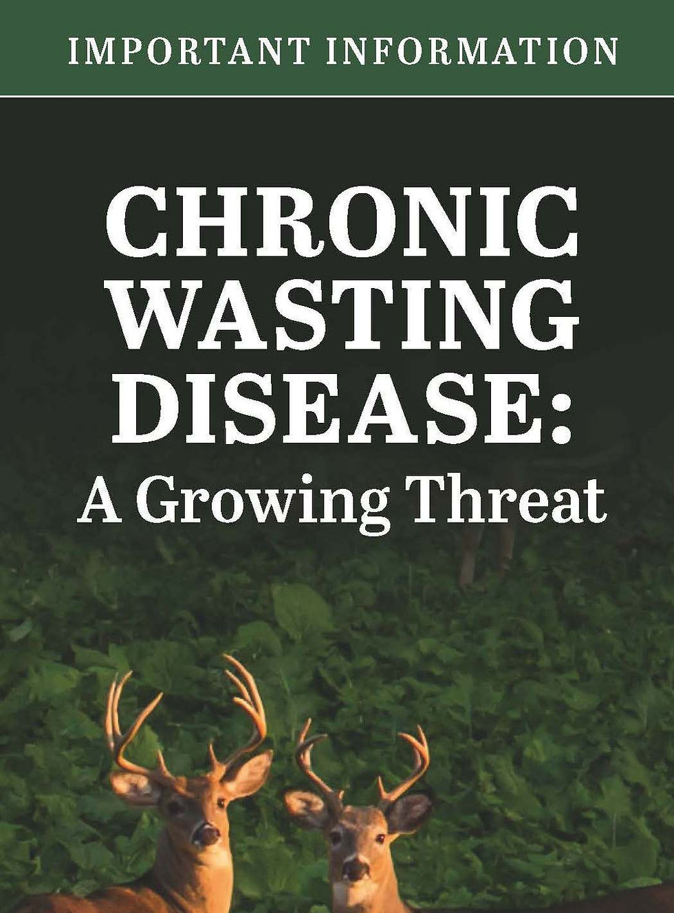 Virginia Among States Stepping Up Efforts to Contain & Prevent Chronic ...