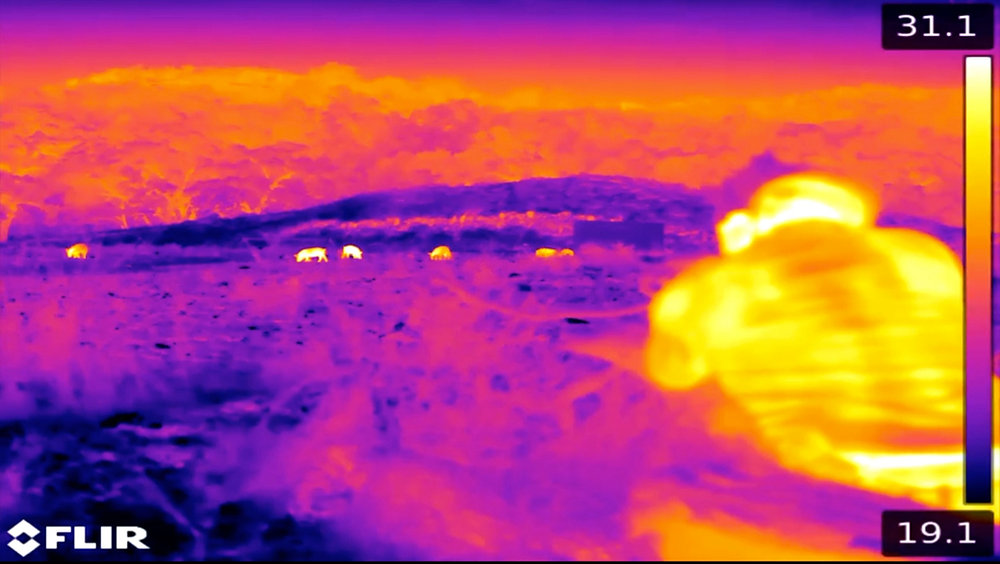 Capture the Moment: FLIR Thermal Image and Video Preserves Hunting ...