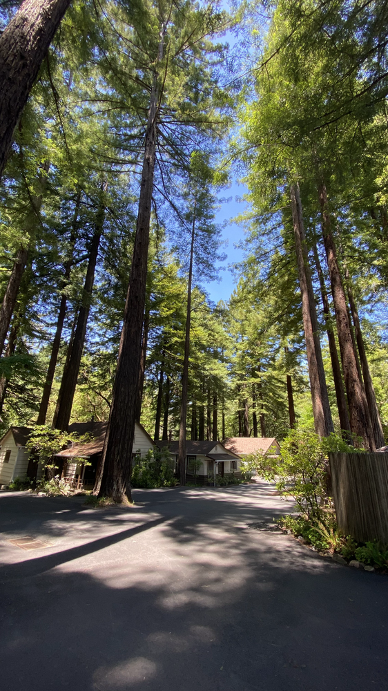Shelter Cove To Miranda, California
