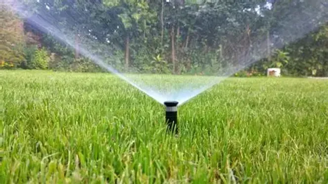 How to Start a Lawn Sprinkler Irrigation Contractor Business in Texas