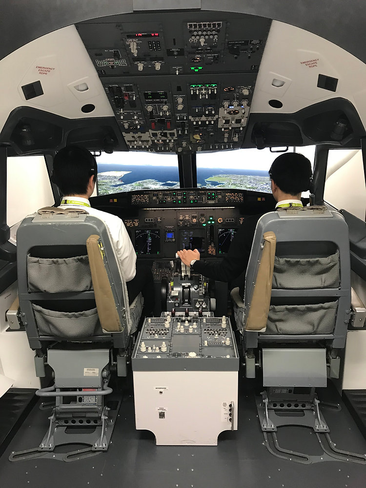 B737 Flight Training Device for airline training