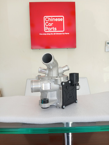 Haval H6 Electronic water pump | Chinese Car Parts