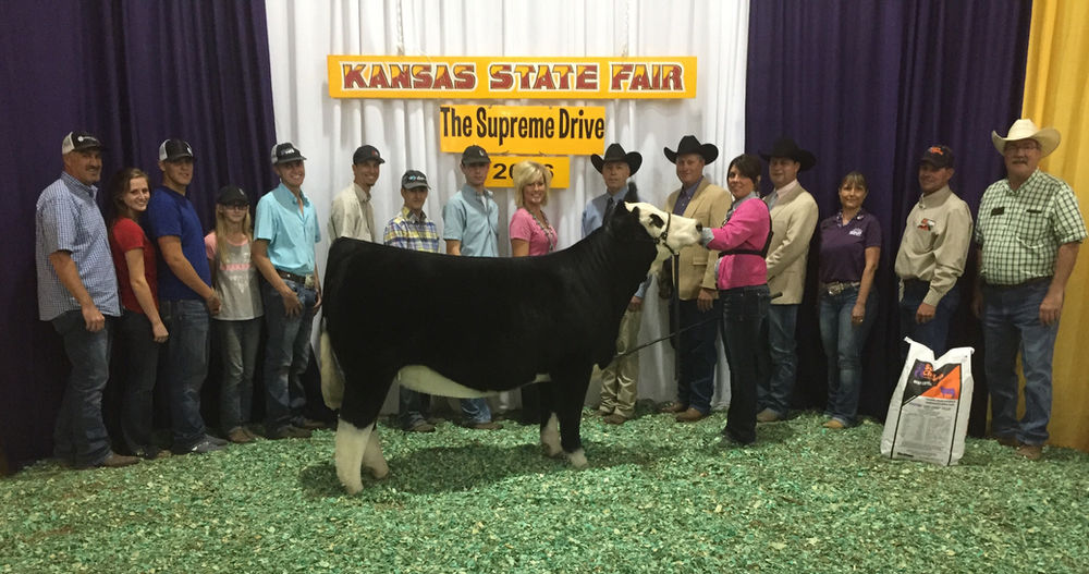 2016 Kansas State Fair