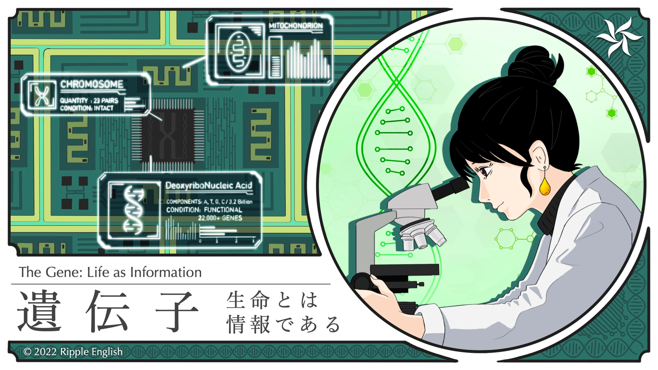 Gene-Life as Information