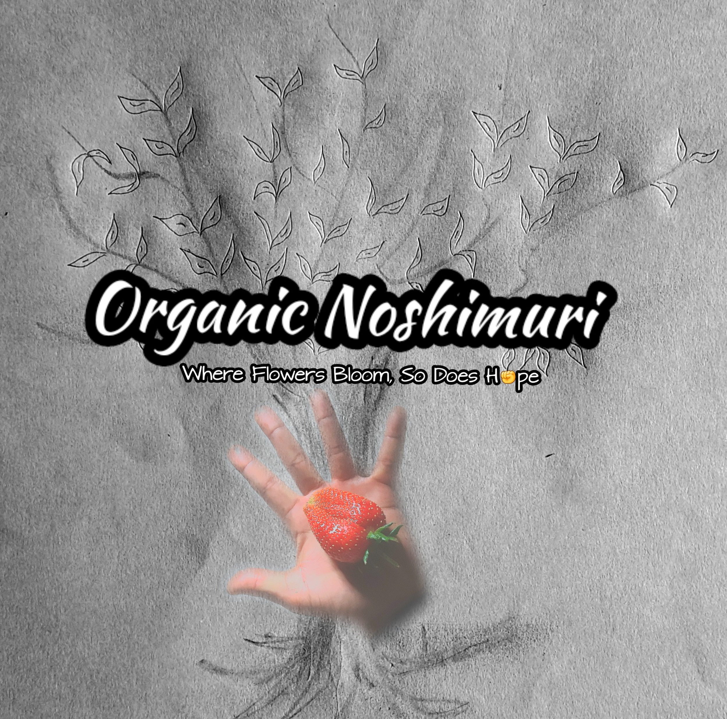Worm Tea | Organic Noshimuri | Mossel Bay