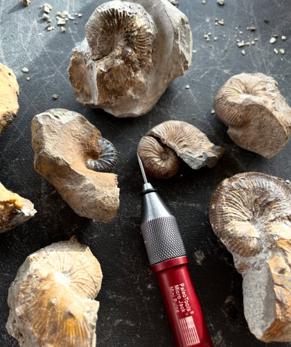 Micro Jack Mini Pulse | PaleoTools