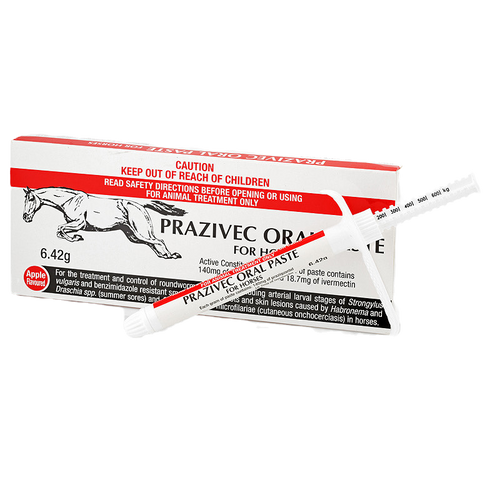 WORMERS | Race Tech Horse