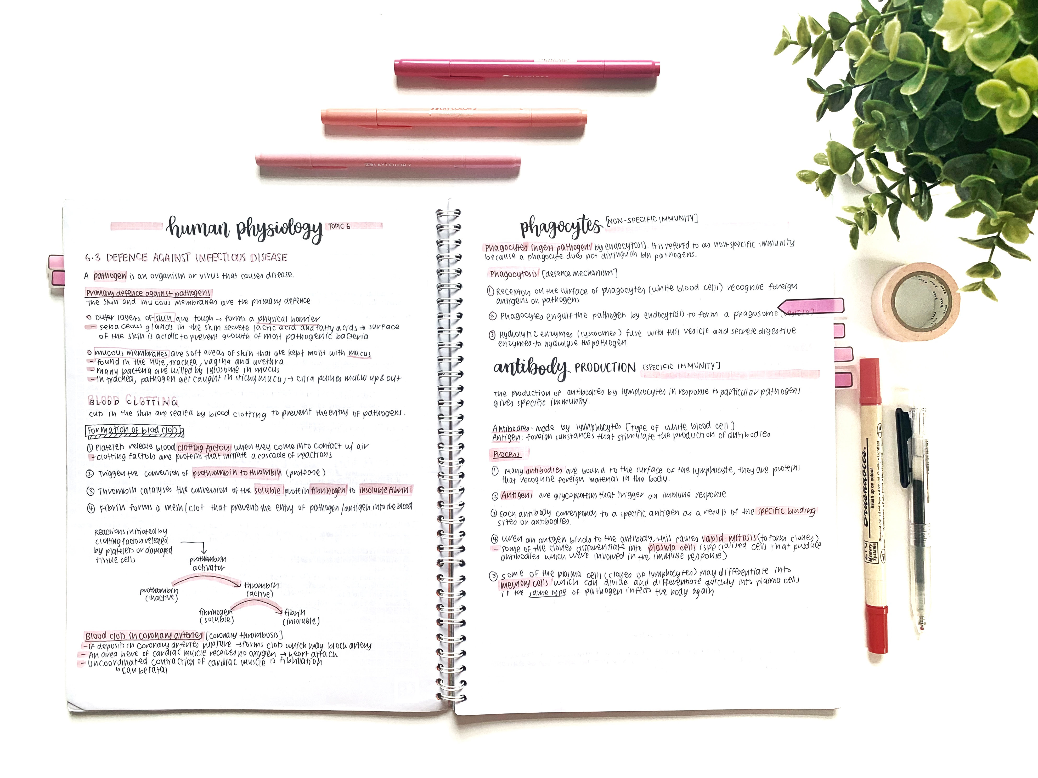 COMPLETE SET Of IB Biology SL Notes Studycollab complete-set-of-ib-biology-sl-notes-studycollab