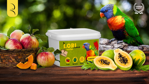 7KG Lori Premium Nectar | Reel Magic Wildlife