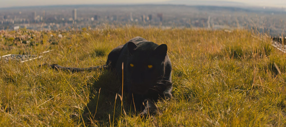 "Tyga"ร่วมไว้อาลัยเสือดำ!ใน"U Cry"