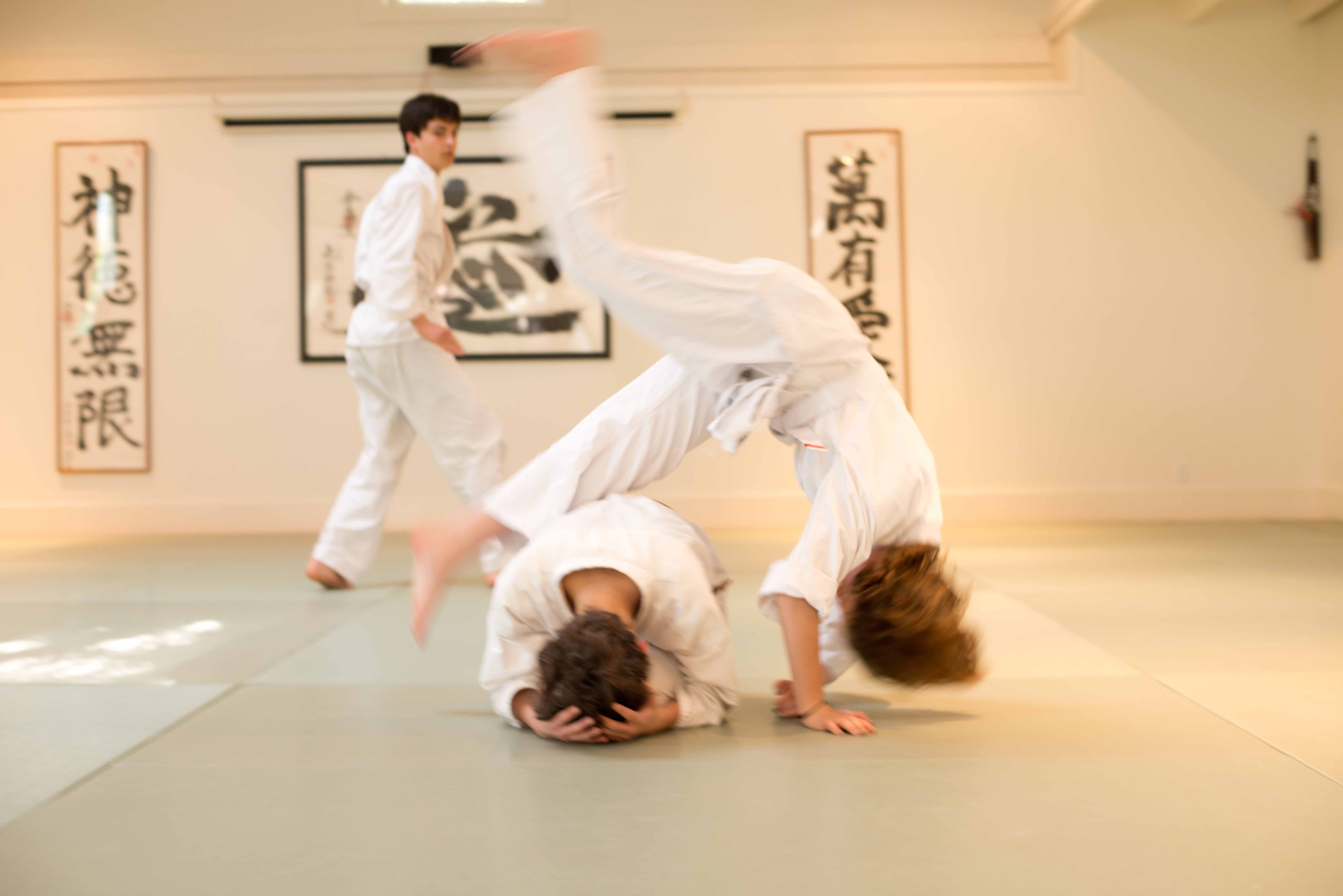 Aikido Self Defense Classes for Kids - Corte Madera - Marin, CA