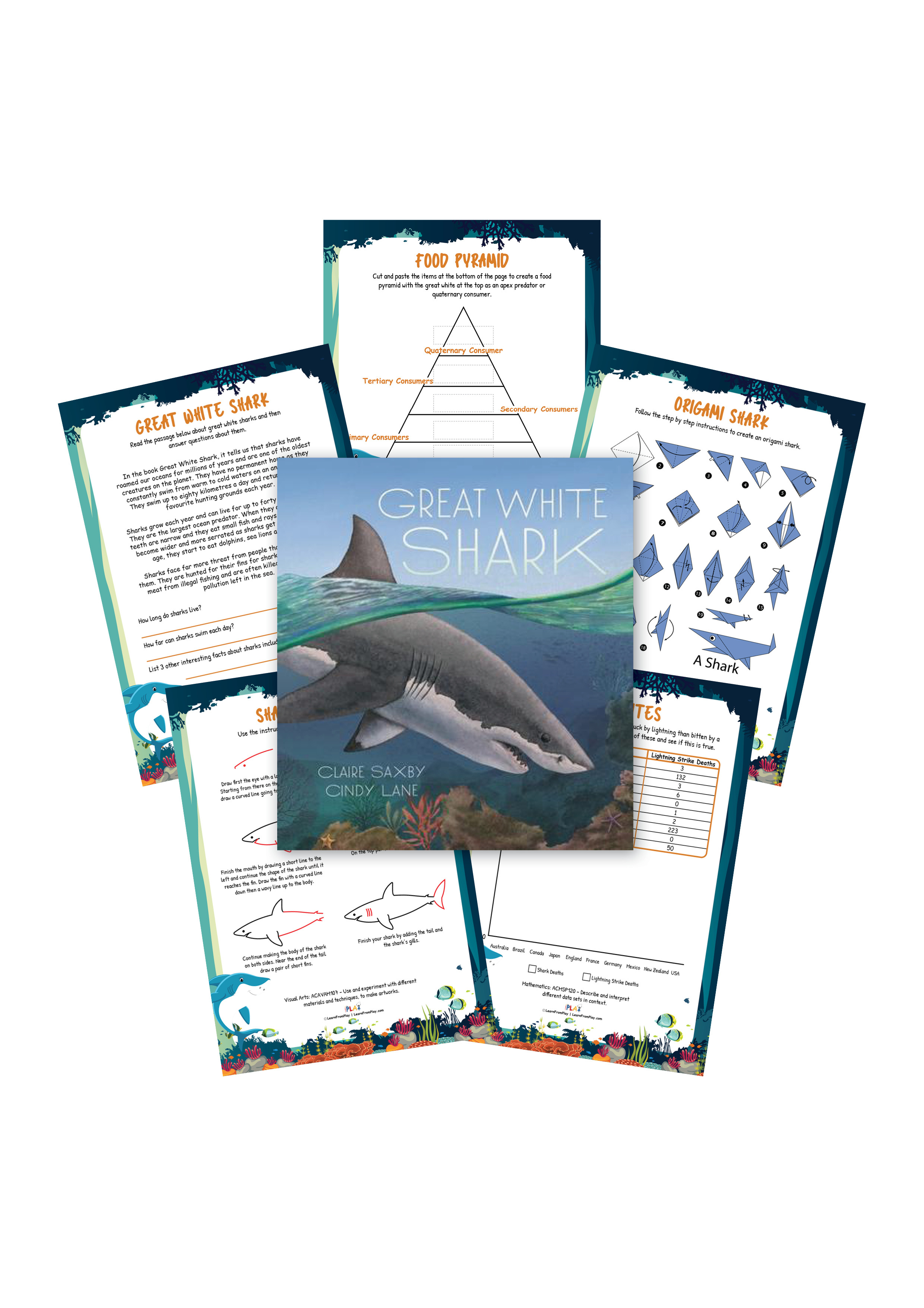 Great White Shark Book Activities | Learn From Play 2025