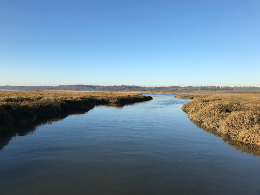 Two Tree Island Loop | Blue Therapy Active