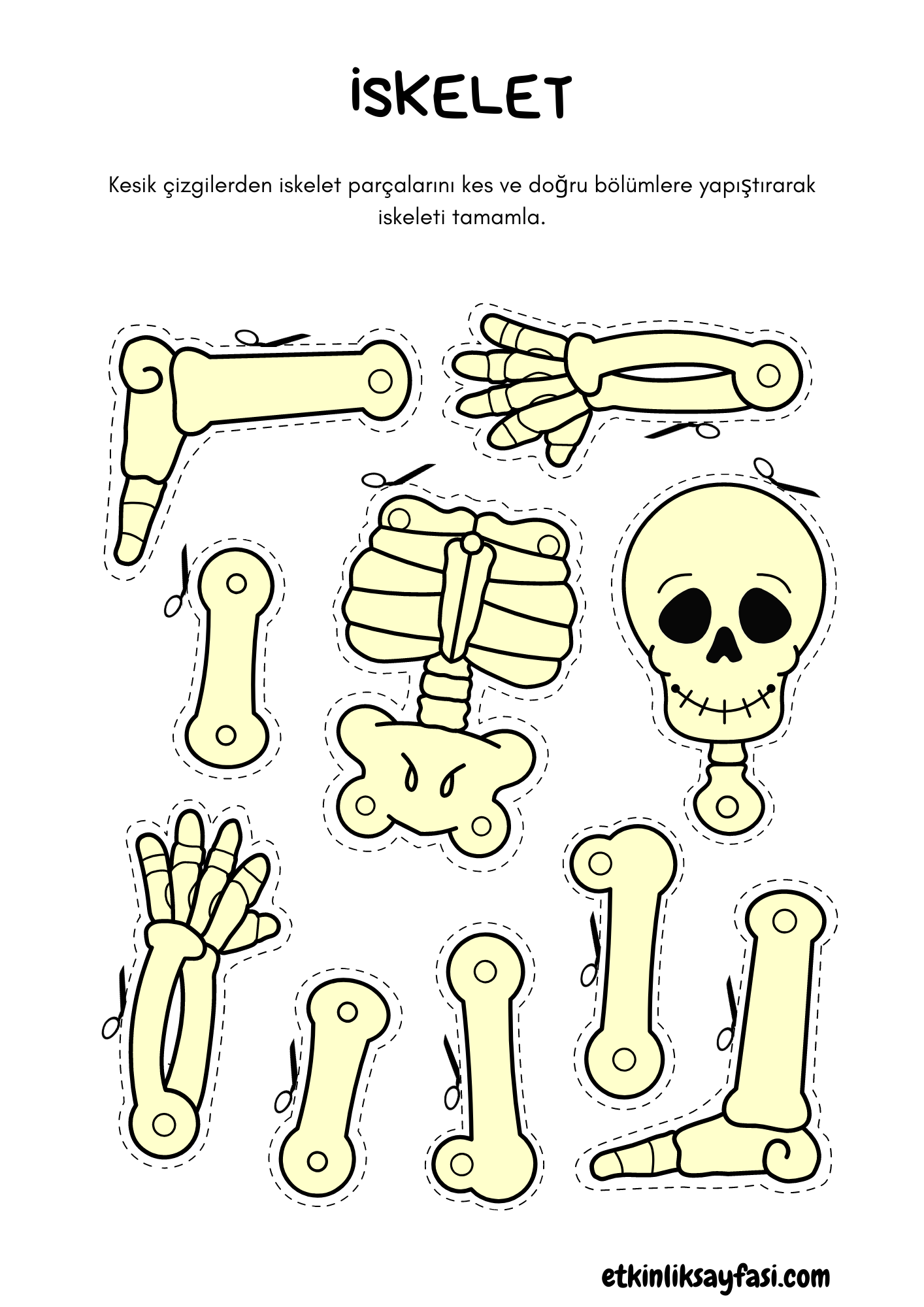 İskelet | Etkinlik Sayfası