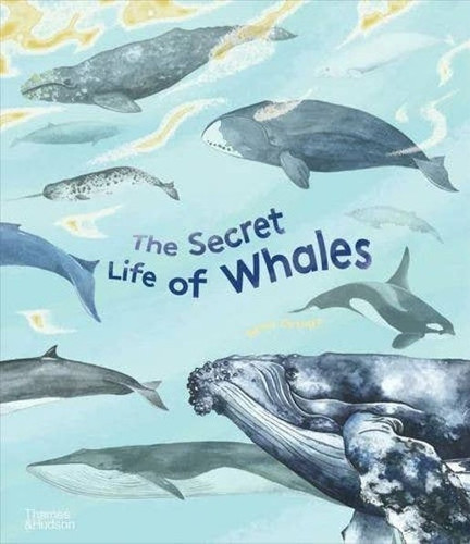 The Secret Life of Whales | The Local Nest