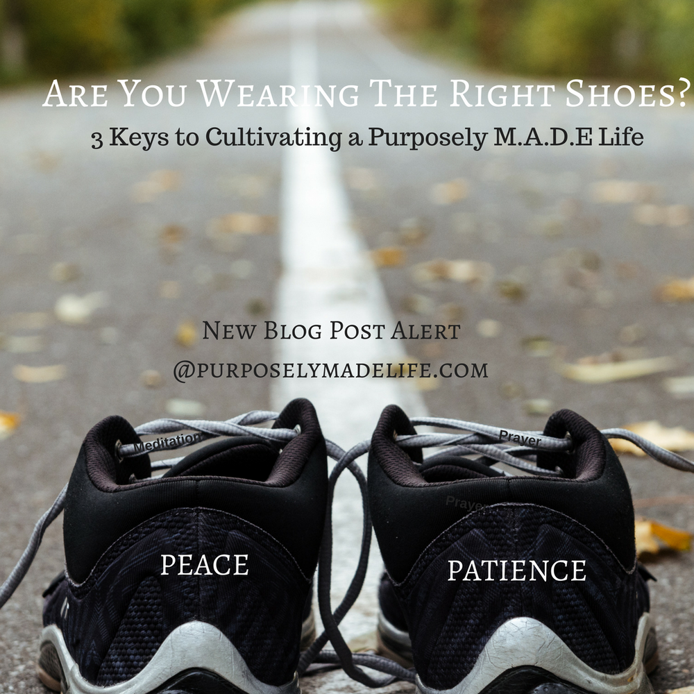 Are You Wearing The Right Shoes? : 3 Keys to Cultivating a Pu