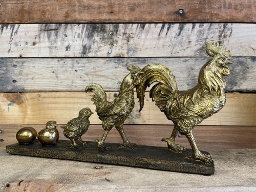 Evolution Of Chicken | Chapter 2 Home - new