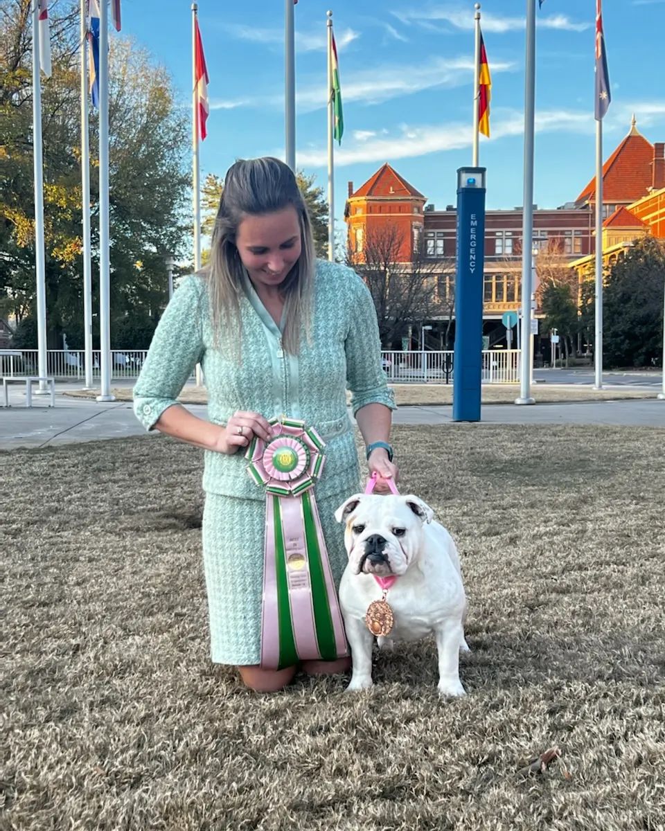 Pelee Bulldogs | Champion Bulldog Breeder Ontario Canada