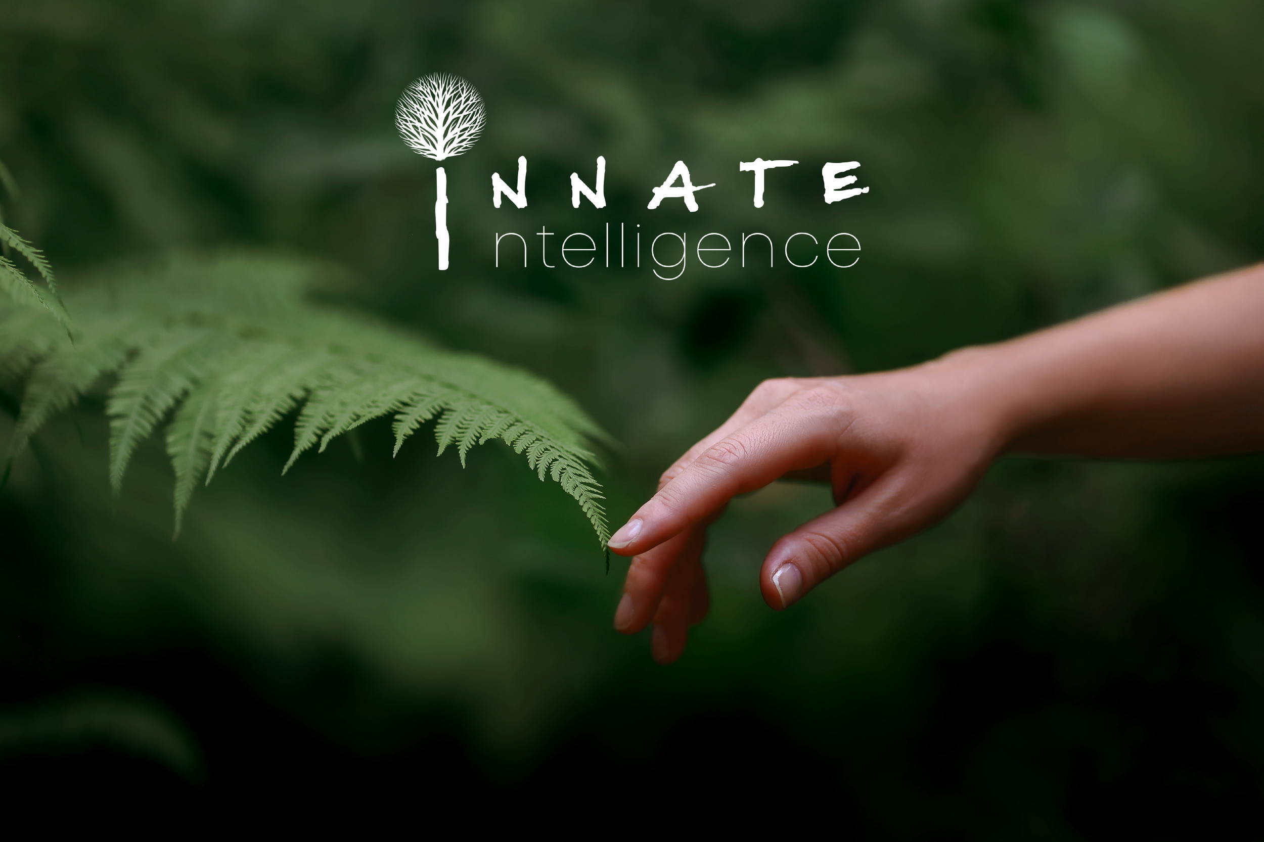 Home | Innate Intelligence