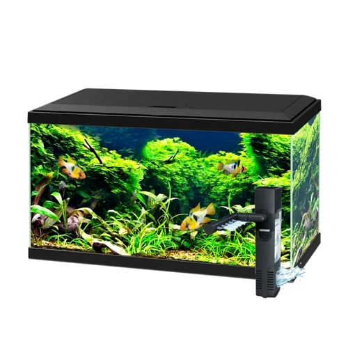 Ciano Aqua LED 60 PLUS Aquarium 65 Litre | Discount Aquatics