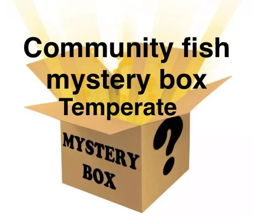 Temperate Fish Mystery Box | Discount Aquatics
