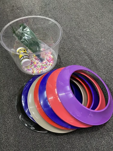 Small GoldFish Bowl With Lid 4Ltr Various Colours | Discount Aquatics