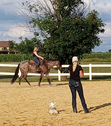 HOME | Freedom Ranch