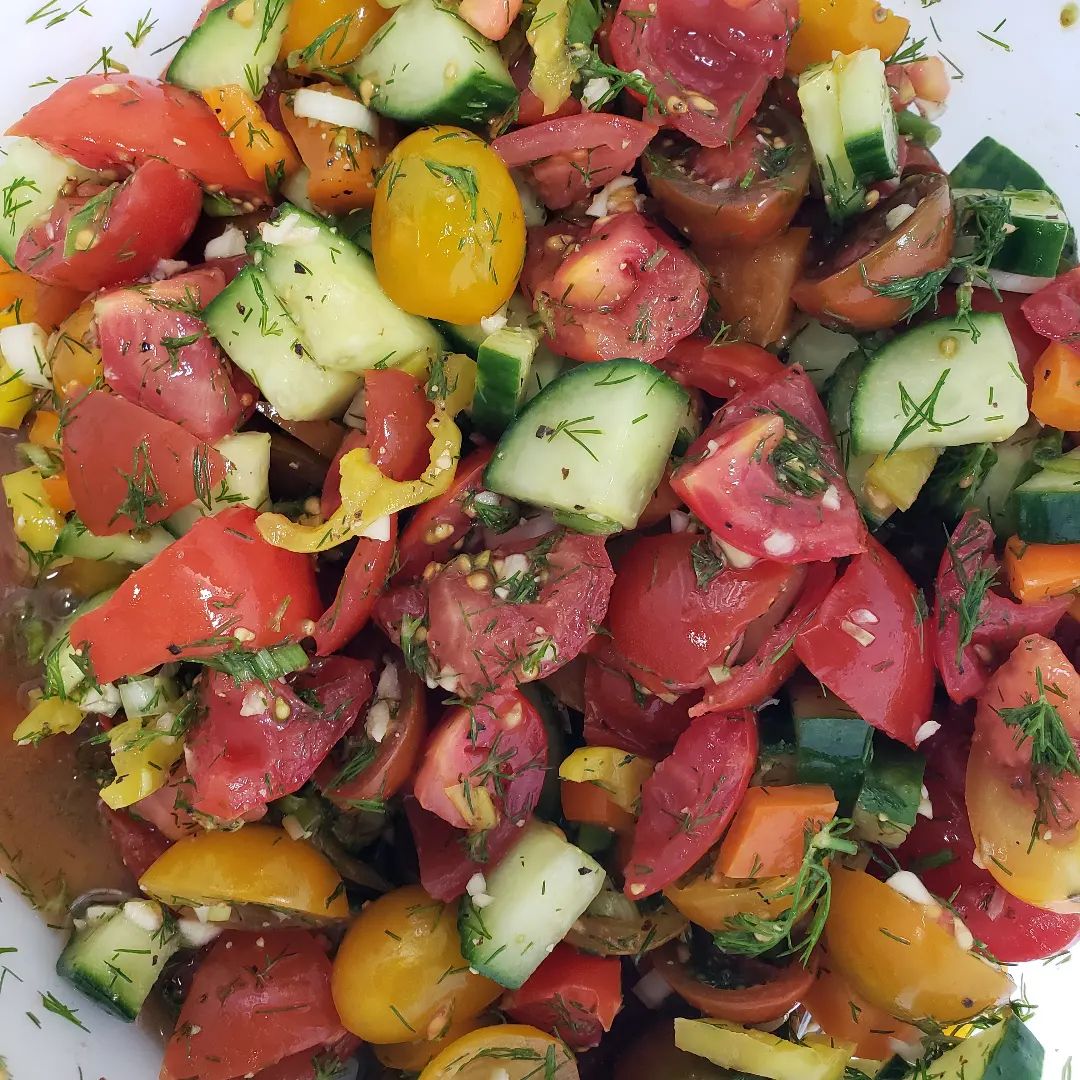 Gallery | Biscuit Boss