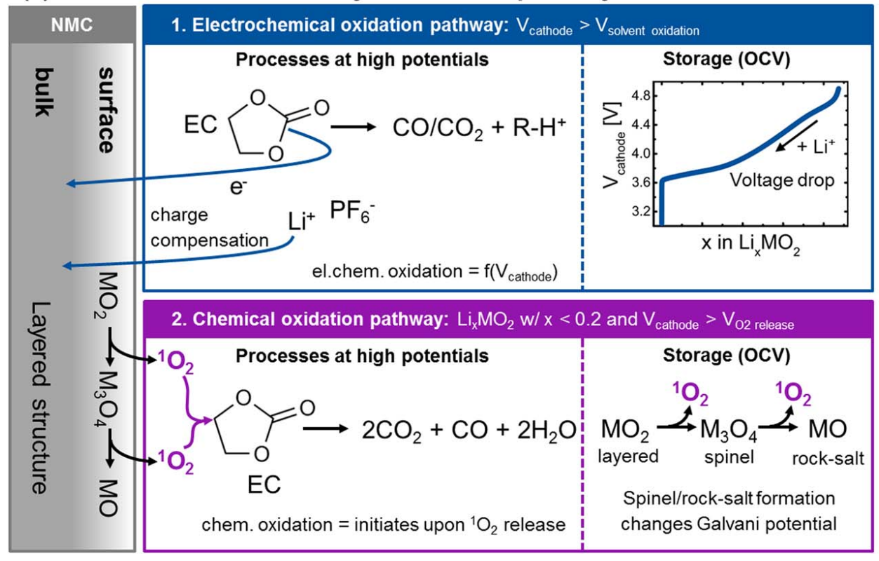 Oxygen Evolution and its Effect on the Cycling Stability of ...