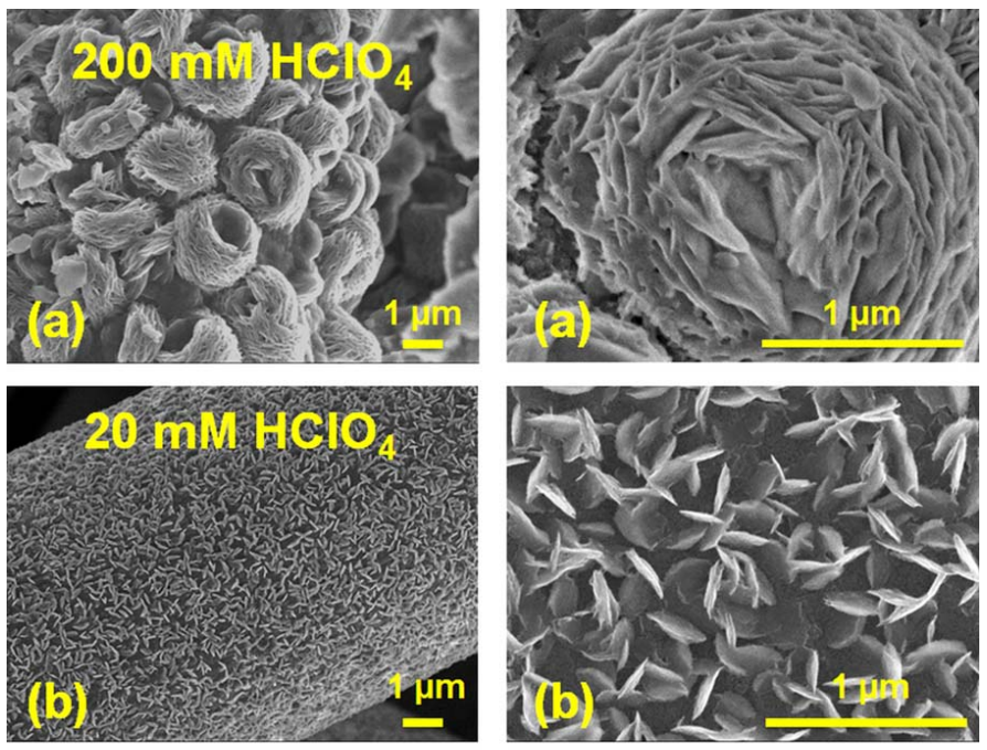 The Influence of Water and Protons on Li2O2 Crystal Growth in Aprotic ...