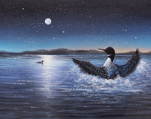 Moonlit Loon | Wilson Bickford